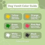 Why is My Dog Throwing Up? A Guide to Vomiting in Dogs - The Labrador ...